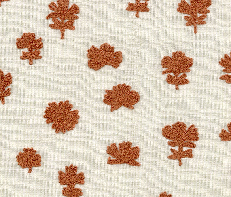 Amber Seeds - Carrot – JORO